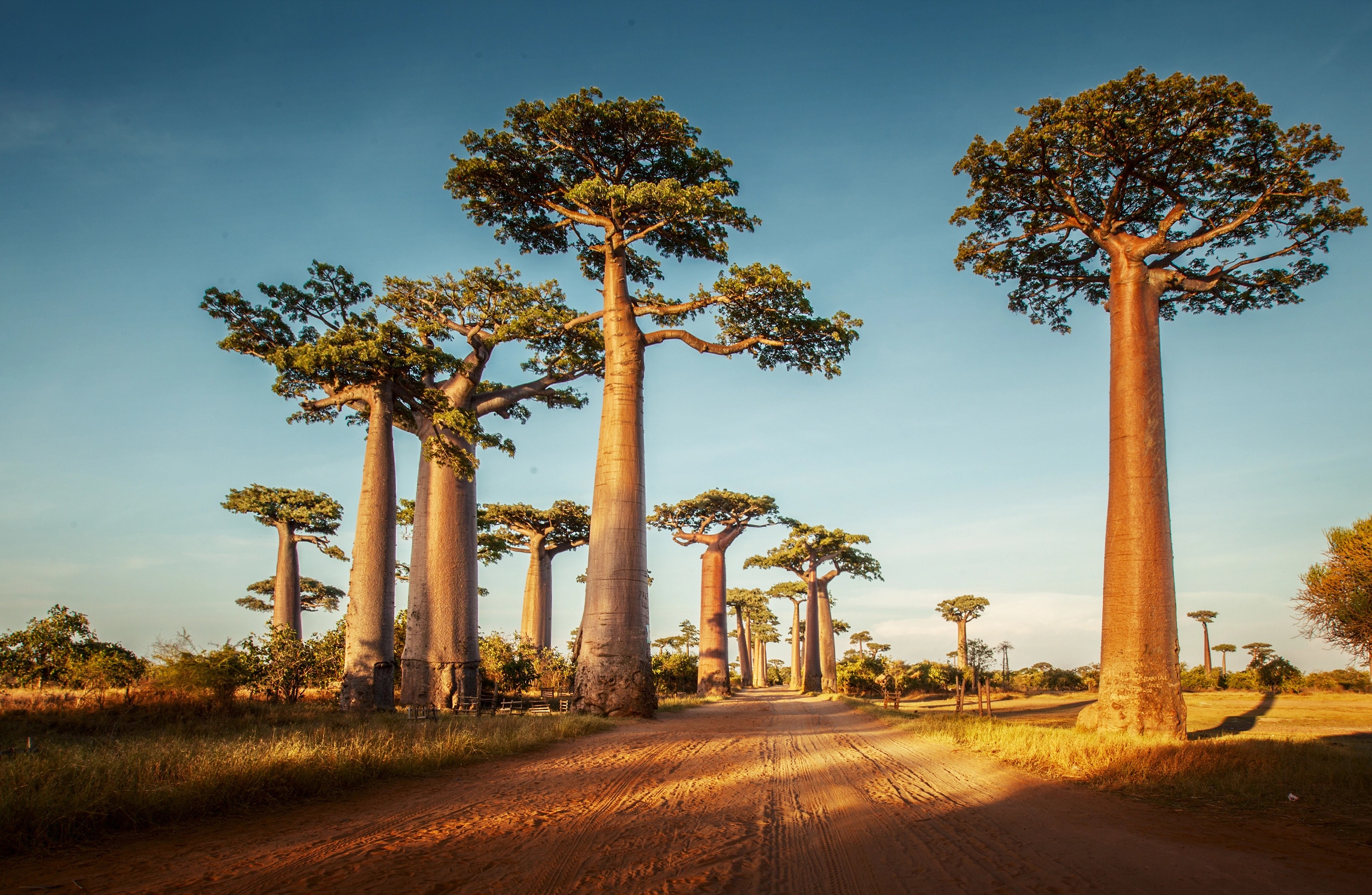 Yes We Can Travel - Circuit guidé en groupe - Évasion à Madagascar ...